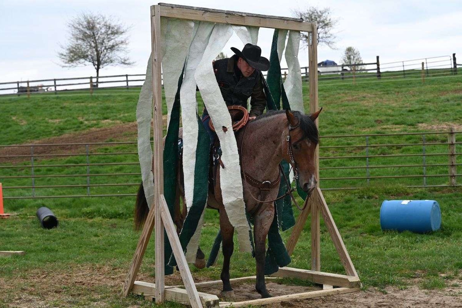 DIY Obstacles Make Your Own Arena Ready Curtain – Stargazey's Equine ...